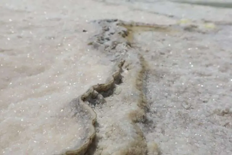 Why the Dead Sea Is So Salty (Primary Reason)