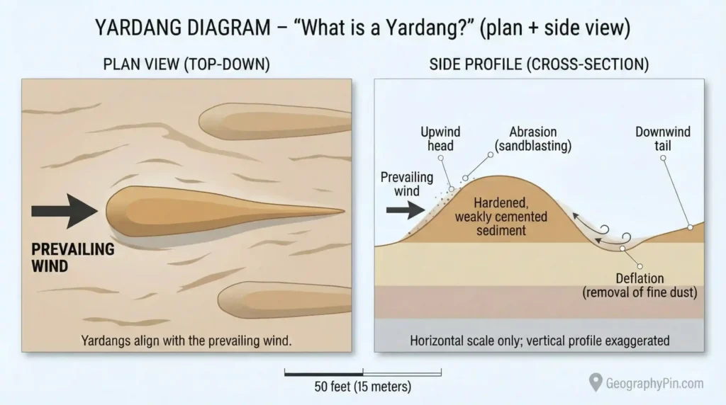 What Is a Yardang: Wind-Carved Desert Ridges Explained